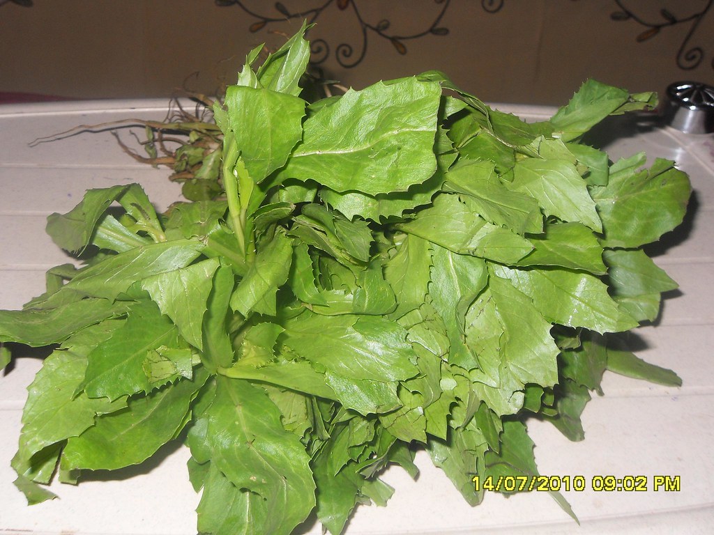 Leafy Veggie- KudaleBandhuBhajiwale